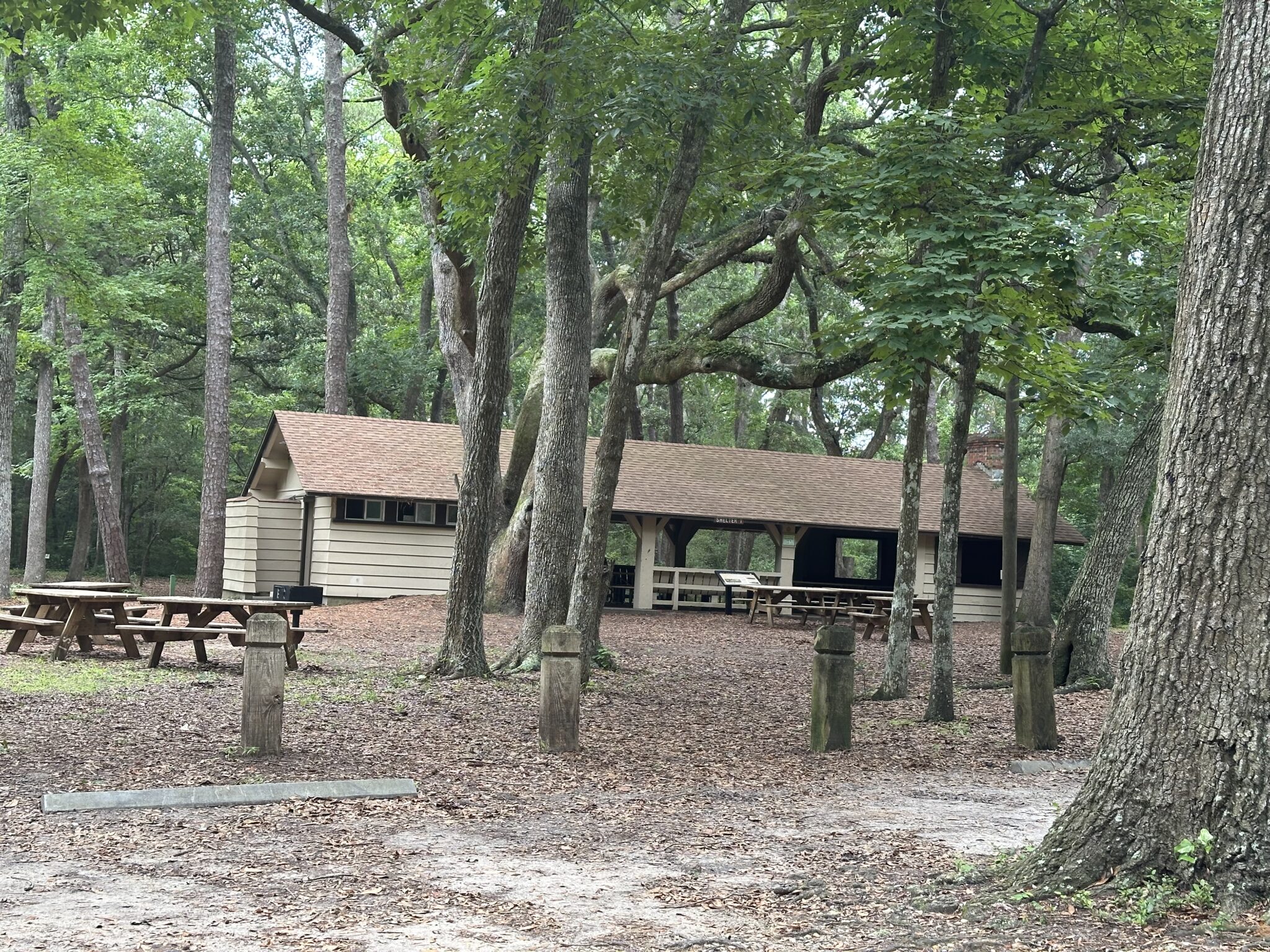 Discover the Best Hiking Trails Near Myrtle Beach - Carolina's Like A Local